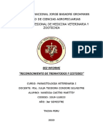 Disección del Muslo de Pollo: Anatomía y Función | PDF | Articulación ...