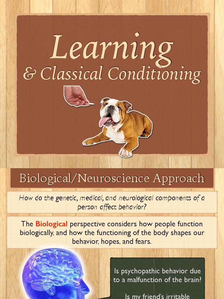 Learning: & Classical Conditioning | PDF | Classical Conditioning | Learning