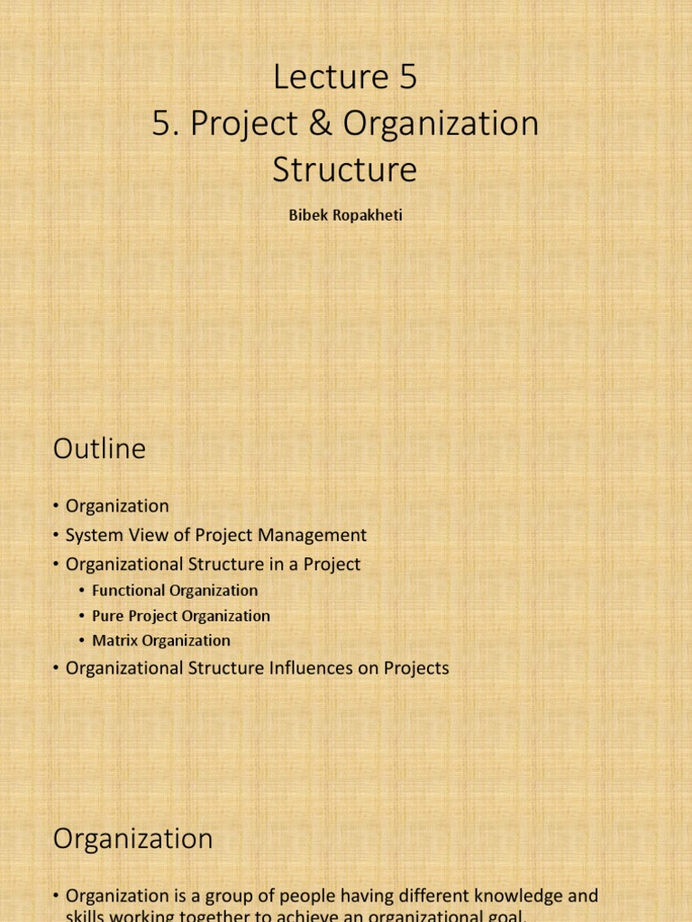 Project Management Structures Guide | PDF | Organizational Structure ...