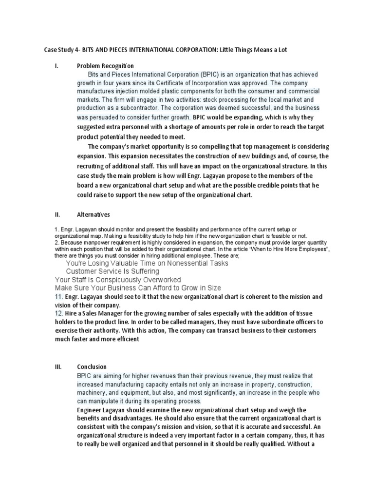 Case Study 4 | PDF | Organizational Structure | Employment