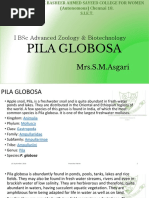 Fouchet's Test for Bilirubin in Urine | PDF | Chemical Substances ...