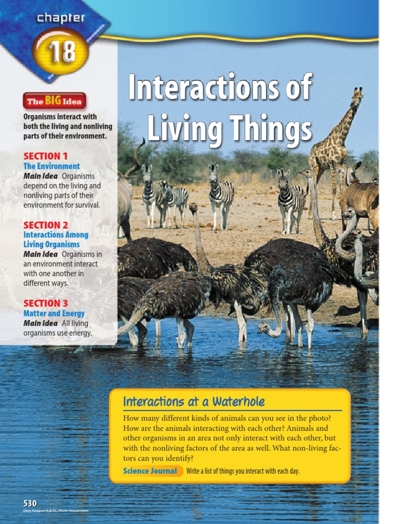 Glencoe Science Text | PDF | Atmosphere Of Earth | Natural Environment