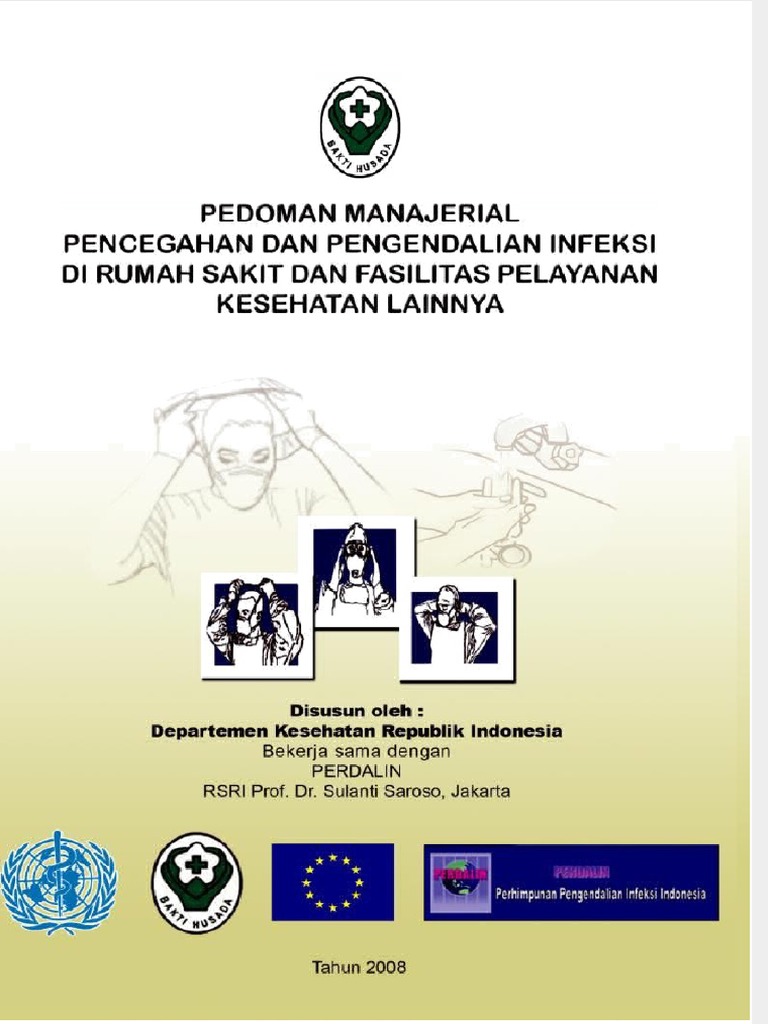 Pedoman Manajerial Ppi Di Rs Faskes Lainnya Depkes Perdalin | PDF
