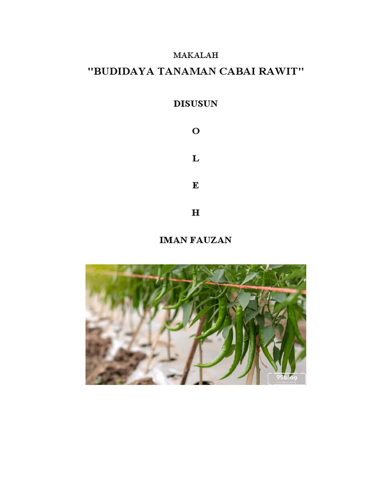 Panduan Budidaya Cabai Rawit Efektif | PDF