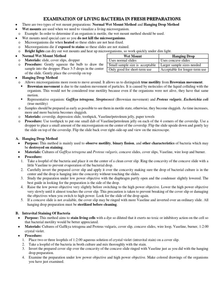 Examination of Living Bacteria in Fresh Preparations | PDF | Staining ...