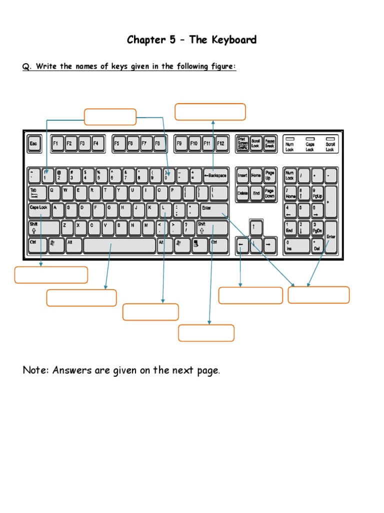 CBSE Class 1 Computer Science Worksheet - The Keyboard | PDF