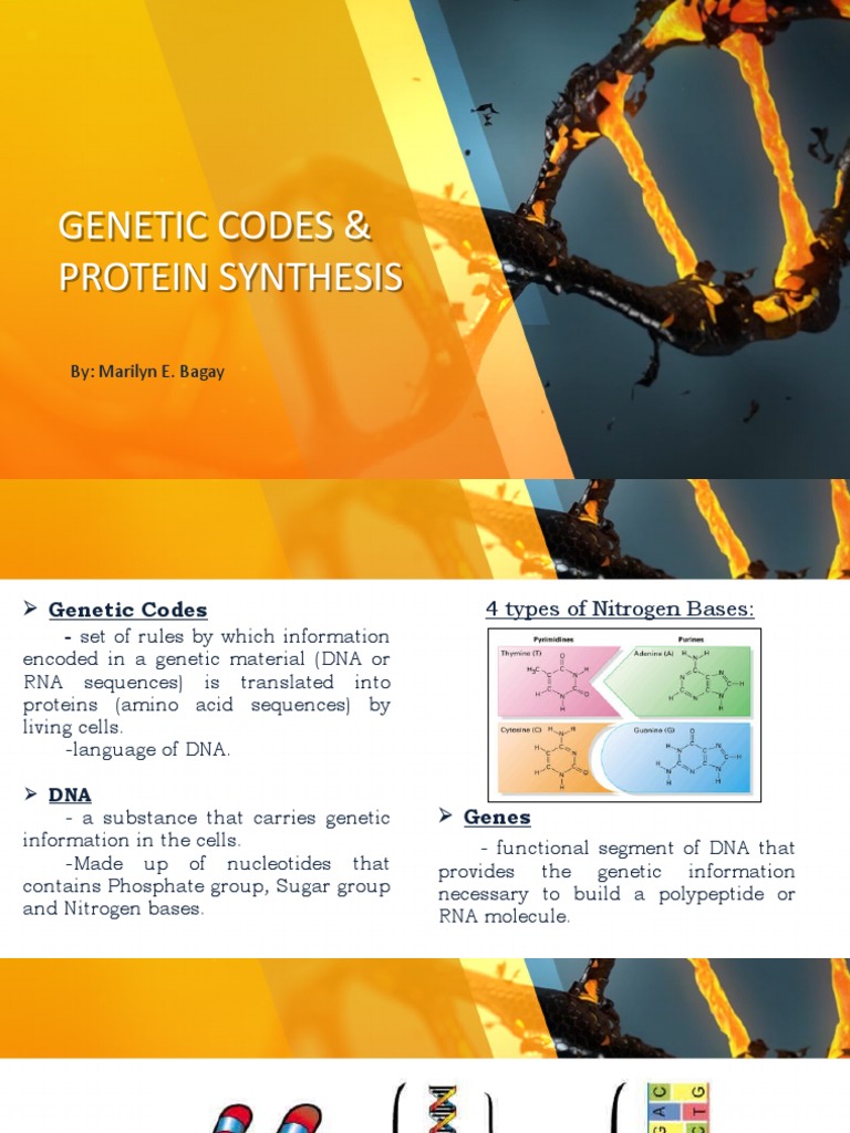 Genetic Code & Protein Synthesis | PDF