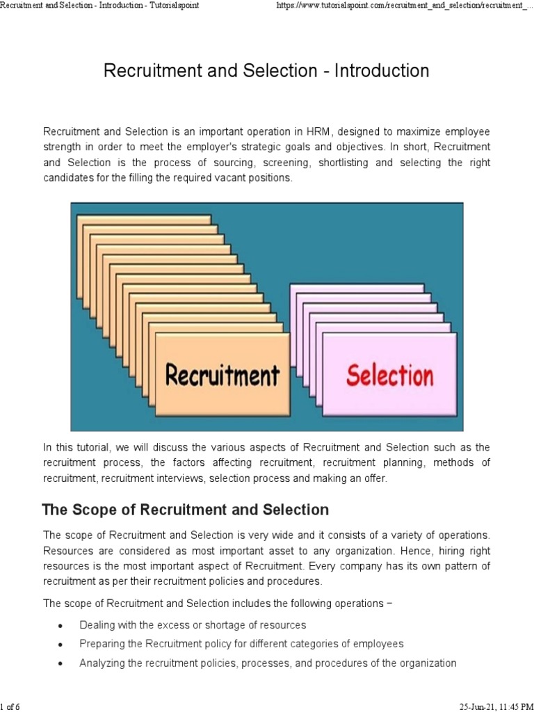 Overview of Recruitment and Selection | PDF | Recruitment | Business