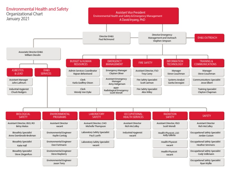 Organization Chart | PDF | Occupational Safety And Health | Health Policy
