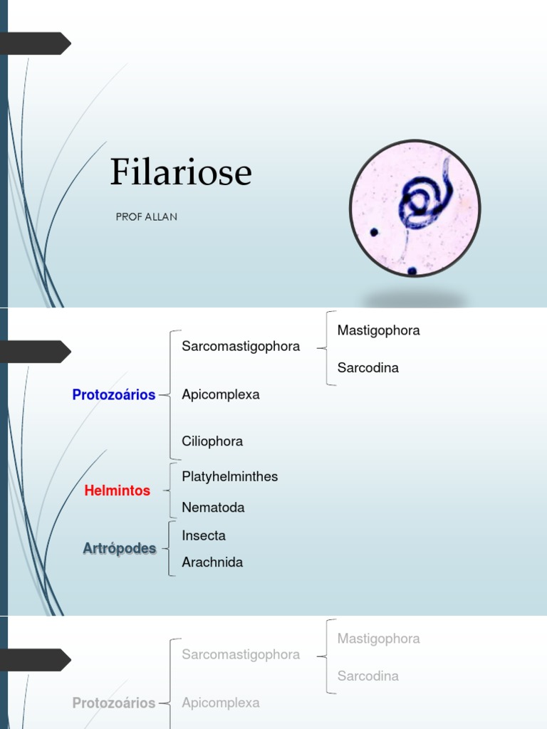 Filariose Linfática: agente etiológico, ciclo de vida, epidemiologia ...