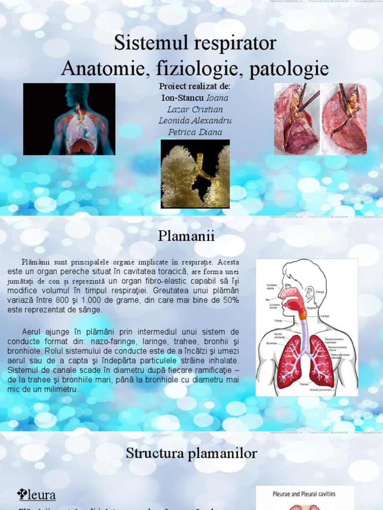 Sistemul Respirator | PDF
