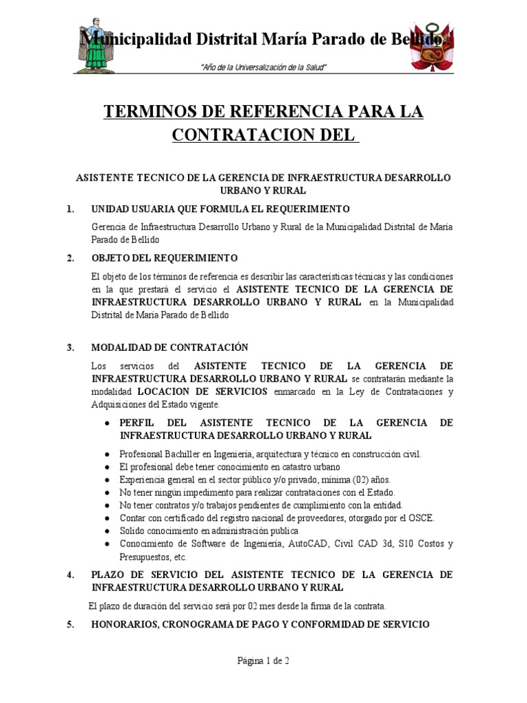 TDR Asistente Tecnico Locacion | PDF | Business | Gobierno