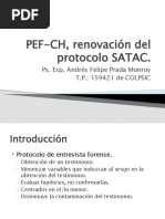 Protocolo de Nichd | PDF