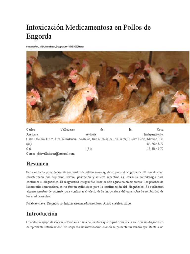 Intoxicación Medicamentosa en Pollos | PDF | Medicamentos con receta ...