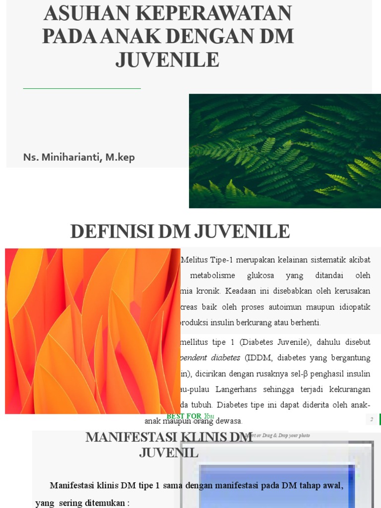 DM Juvenile | PDF