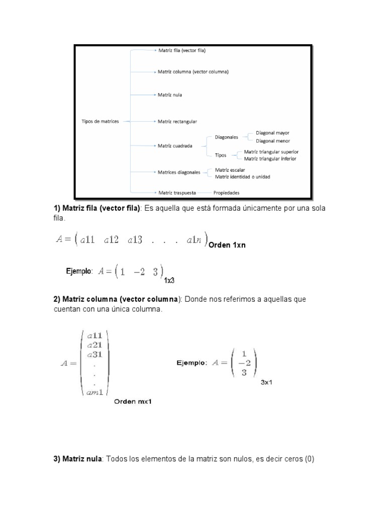 Tipos de Matrices | PDF