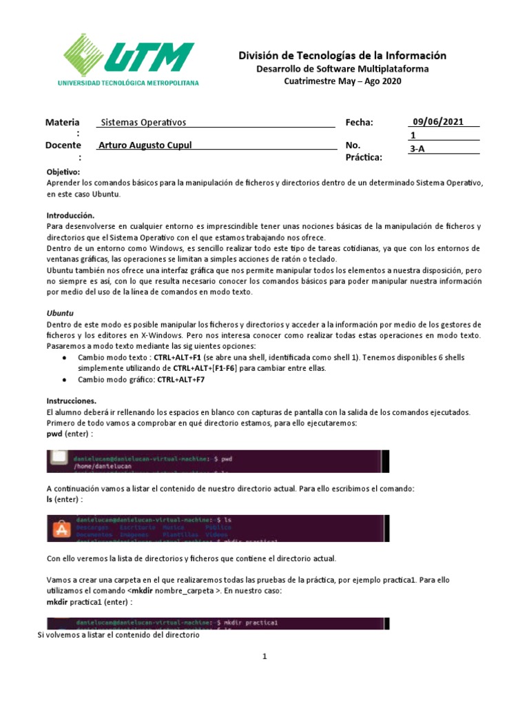 Practica Comandos | PDF | Archivo de computadora | Sistema operativo