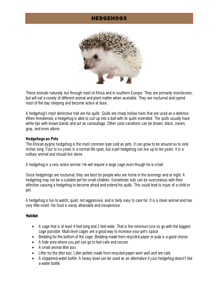 Hedgehog Care Guide Pdf Pet Foods