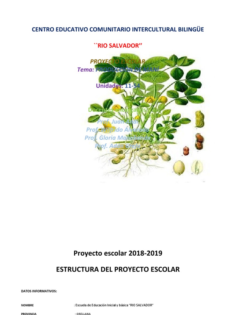 Produccion de Mani | PDF | Comida y bebida | Agricultura