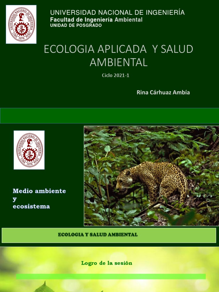 1 Sesión I - Medio Ambiente y Ecosistema | PDF | Entorno natural | Ecología
