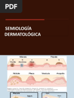 Dermatologia Informe de Escama y Costra 1 | PDF | Piel | Enfermedades y ...