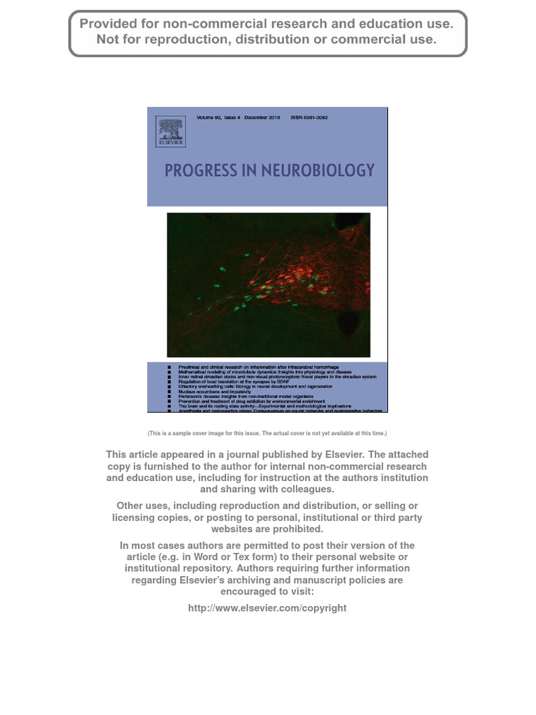 The Neural Foundations of Aesthetic Appr | PDF | Aesthetics ...