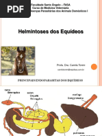 Anatomia - TGI - Equino | PDF | Trato gastrointestinal | Intestino delgado