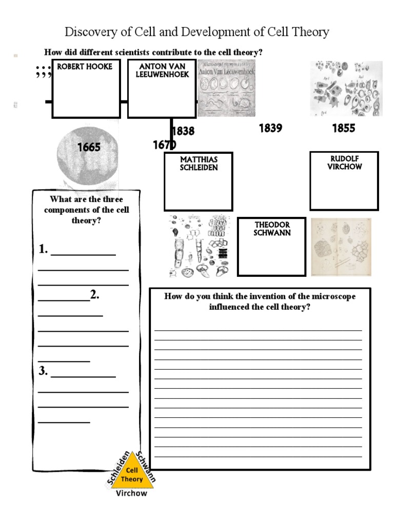 Discovery of Cell and Development of Cell Theory Worksheet | PDF