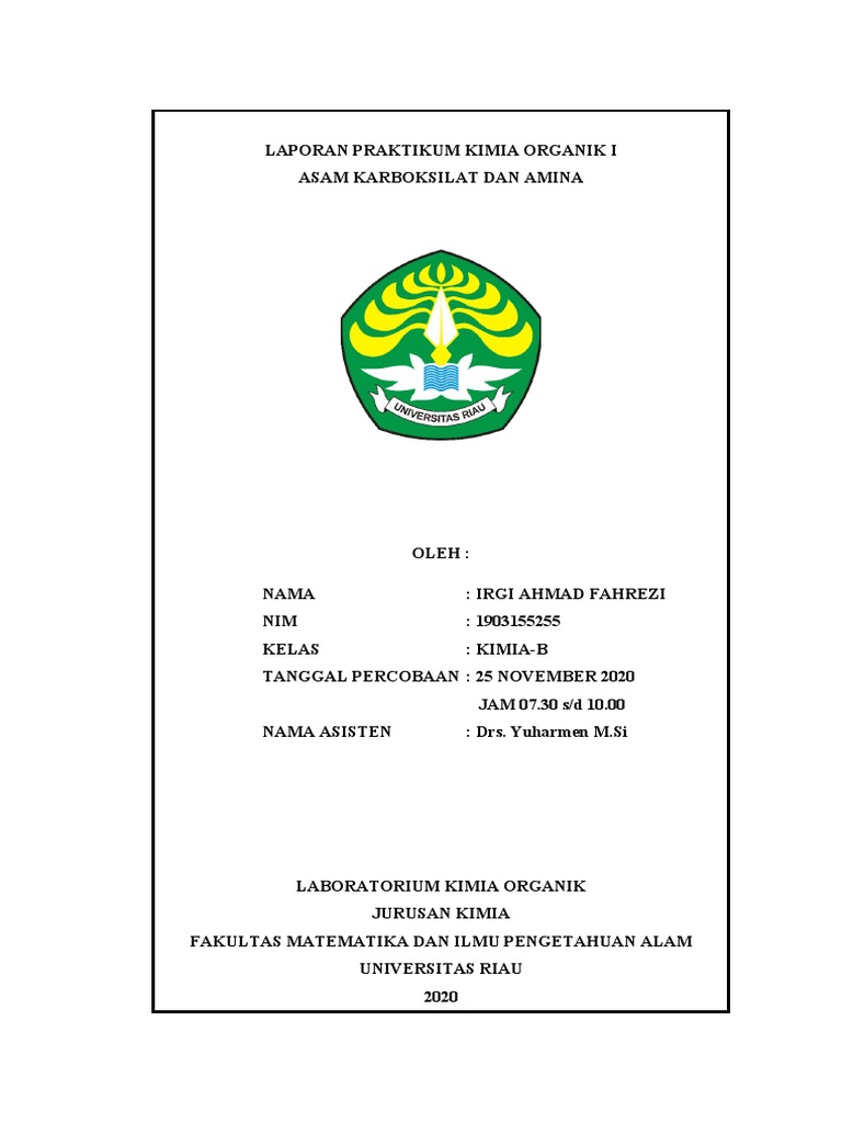 Irgi Ahmad Fahrezi - 1903155255 - Asam Karboksilat Dan Amina | PDF