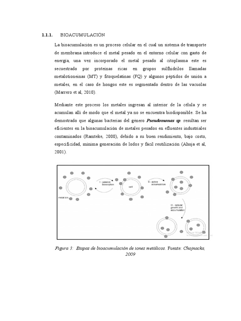 BIOACUMULACIÓN | PDF