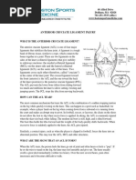 Rotator Cuff and Shoulder Conditioning Program - OrthoInfo - AAOS | PDF ...