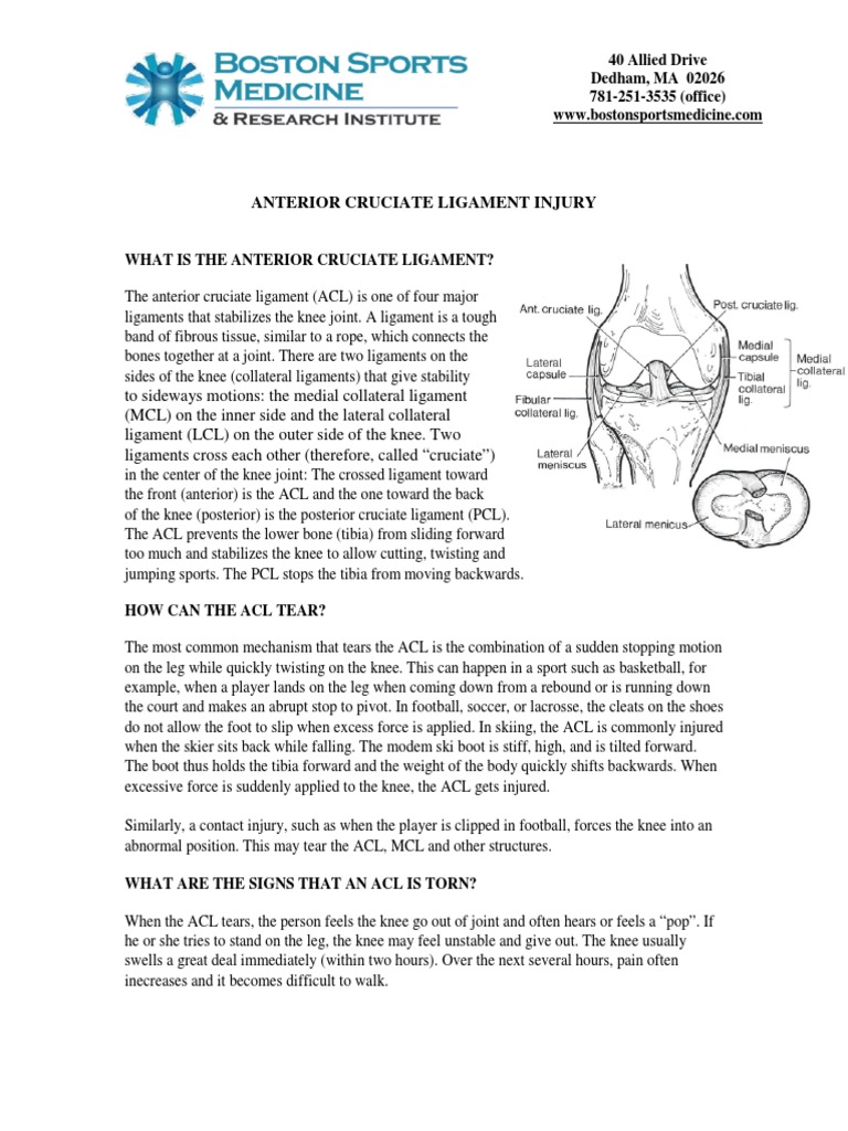 Acl Reconstruction Rehab Protocol | PDF | Knee | Strength Training