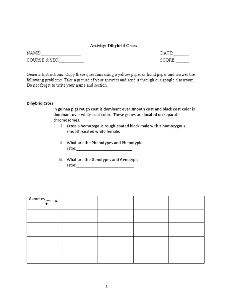 Dihybrid Cross Activity Worksheet | PDF
