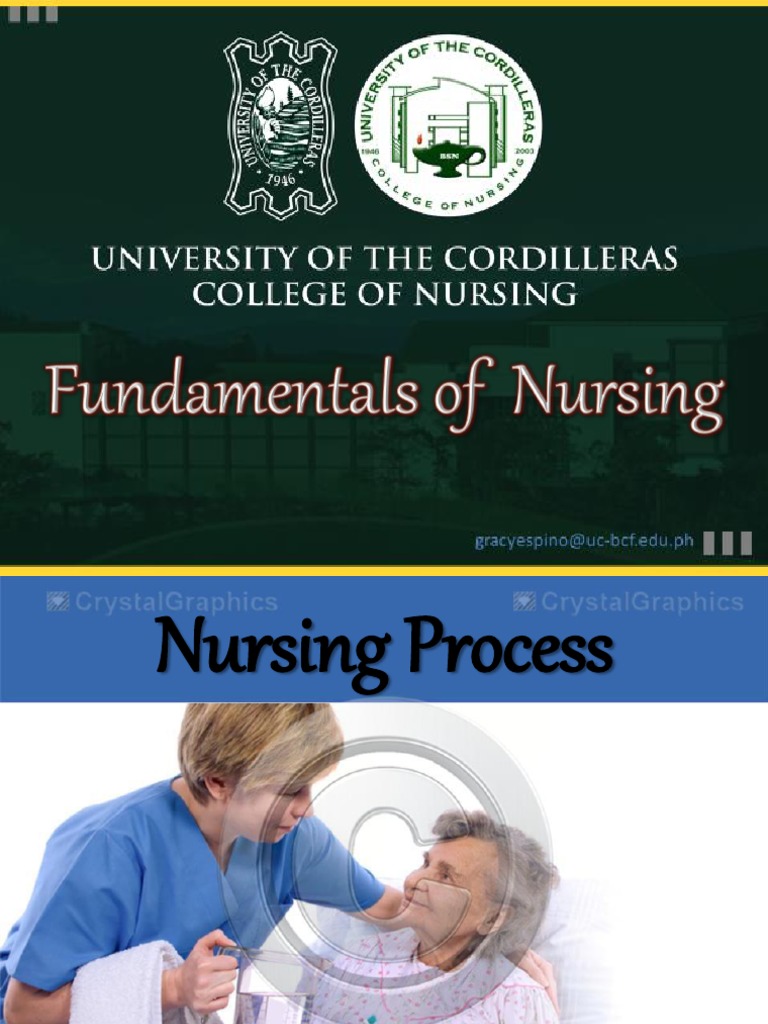 Nursing Process | PDF | Nursing | Health Care