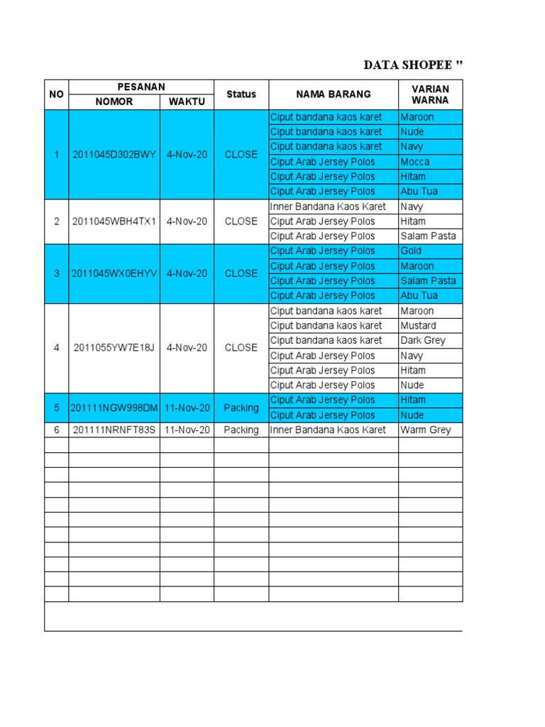 Data Penjualan Shopee Riska | PDF