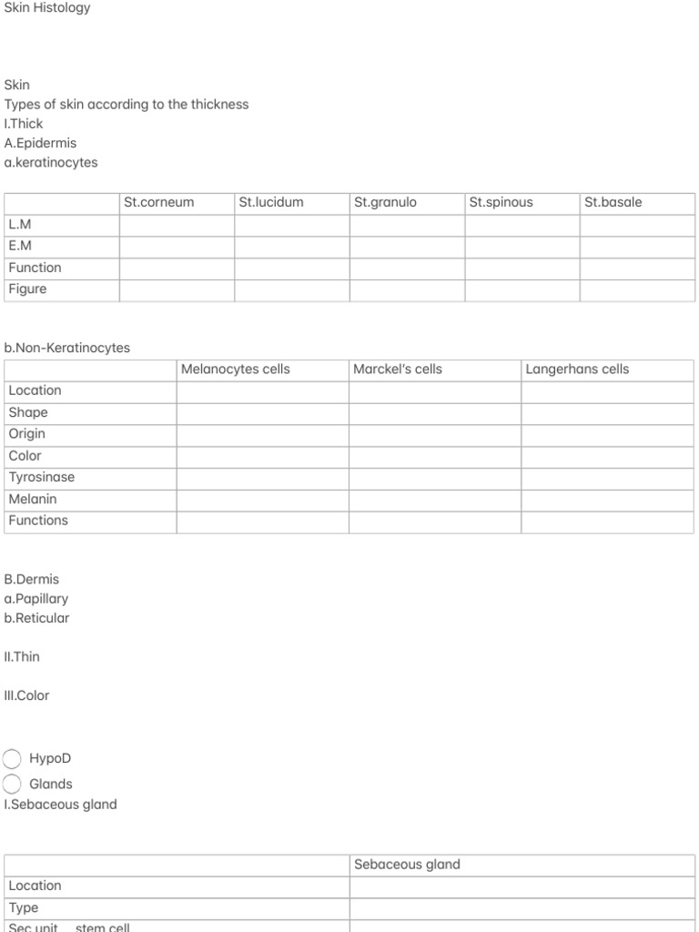 Skin Histology | PDF