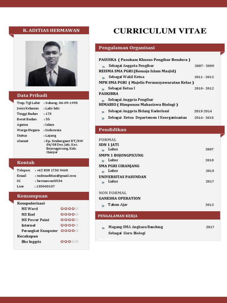 CV (Curriculum Vitae) Adit | PDF