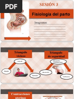 Essalud. GUIA DE Psicoprofilaxis Obstetrica y Estimulacion Prenatal | PDF
