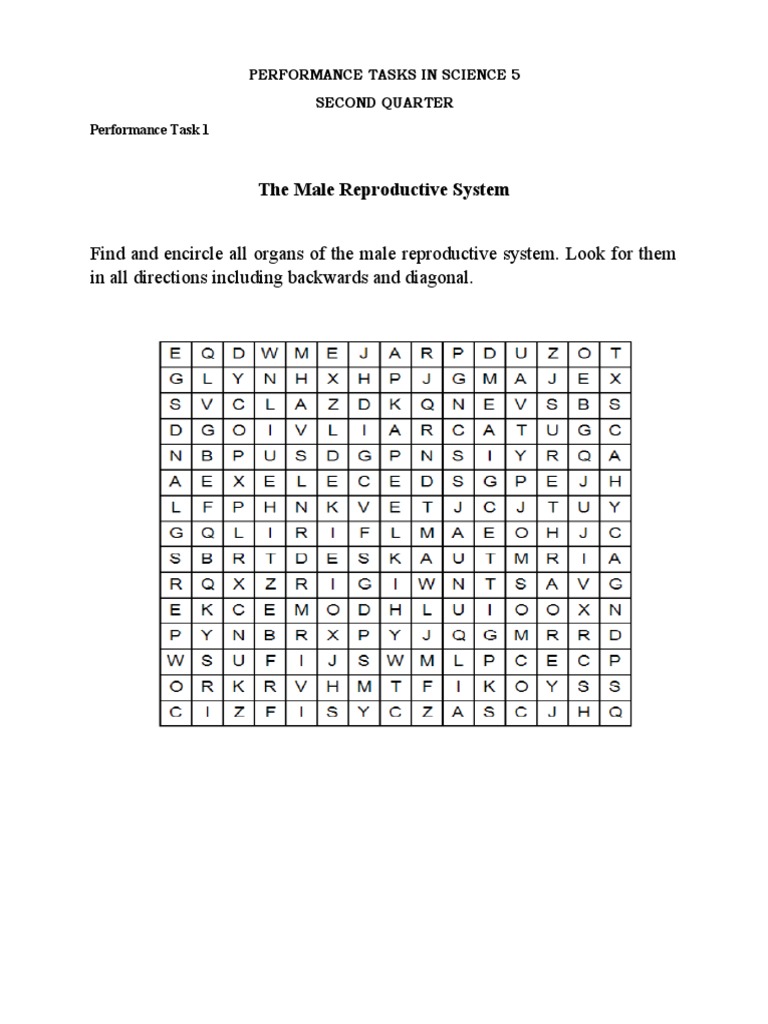 Find and Encircle All Organs of The Male Reproductive System. Look For ...