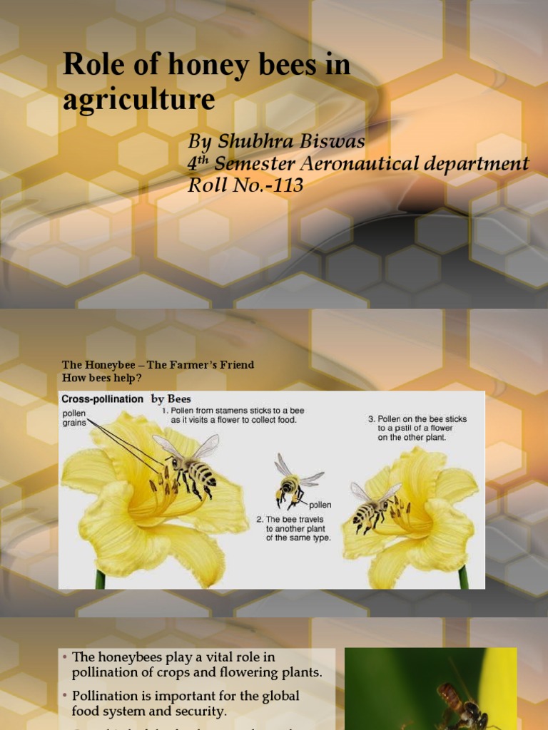 Role of Honey Bees in Agriculture | PDF