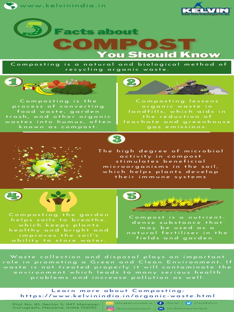 5 Facts About Compost You Should Know | PDF