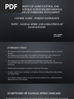 Blotter Test Method | PDF | Seed | Germination