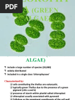 Chara | PDF | Algae | Biology