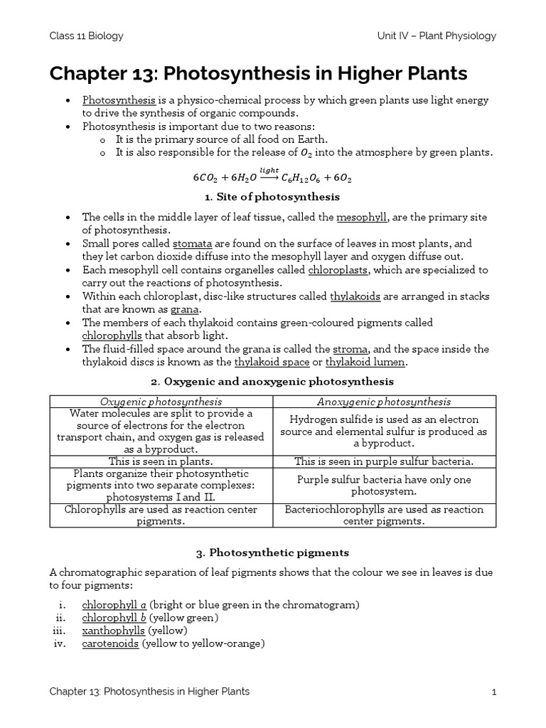 044BIO11-13 Photosynthesis in Higher Plants (Study Notes) | PDF ...
