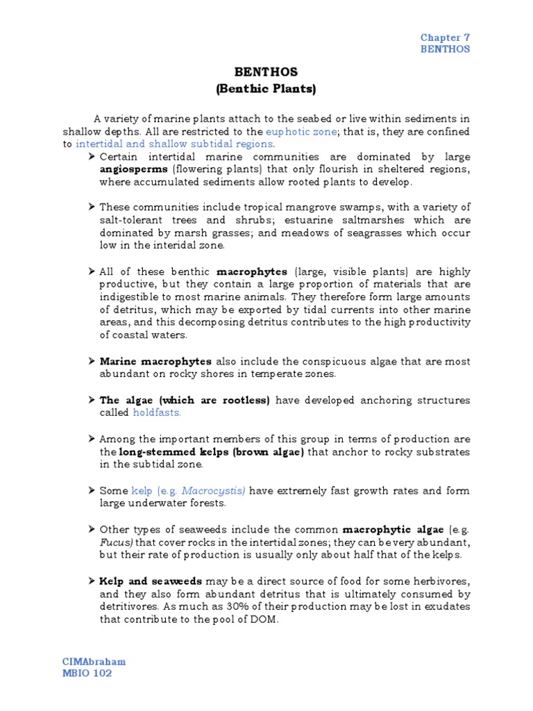 BENTHOS (Benthic Plants) | PDF | Algae | Primary Production