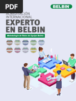 Modelo Roles Equipo Belbin | PDF | Aprendizaje | Mente