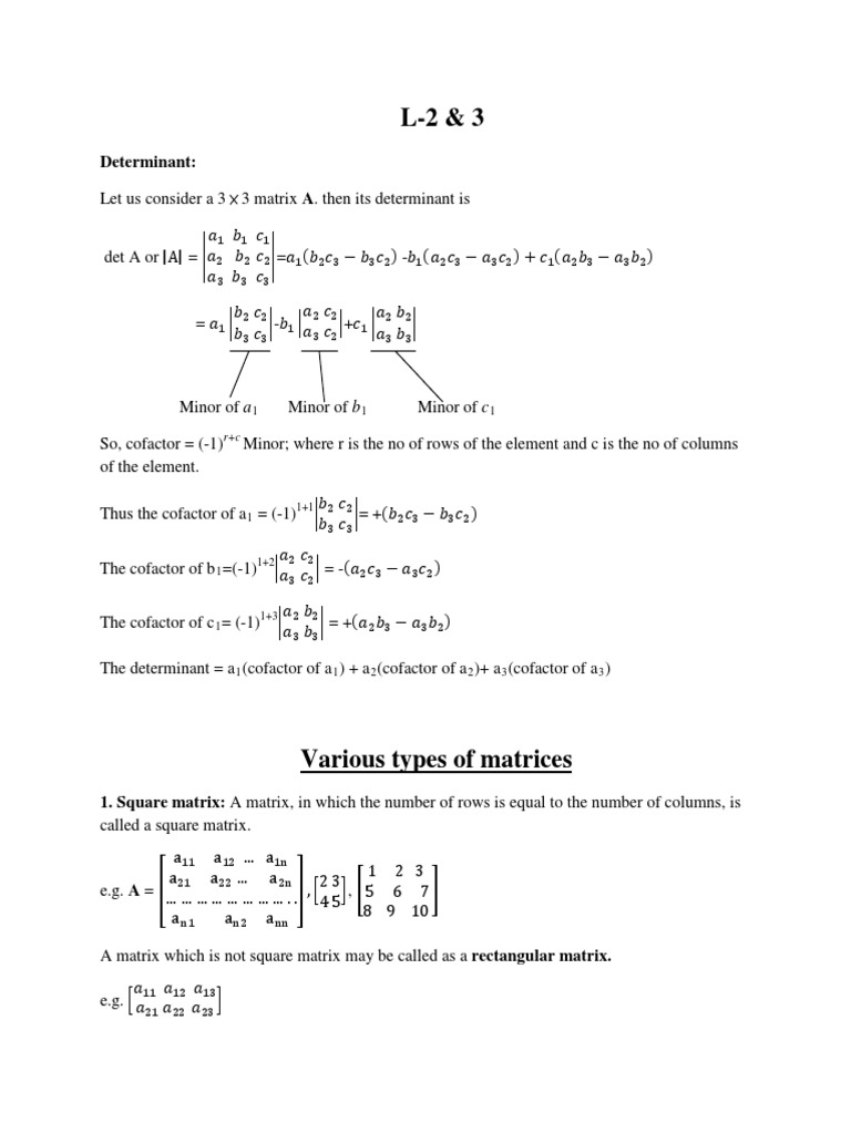 Determinant and Matrices | PDF | Matrix (Mathematics) | Mathematical Objects