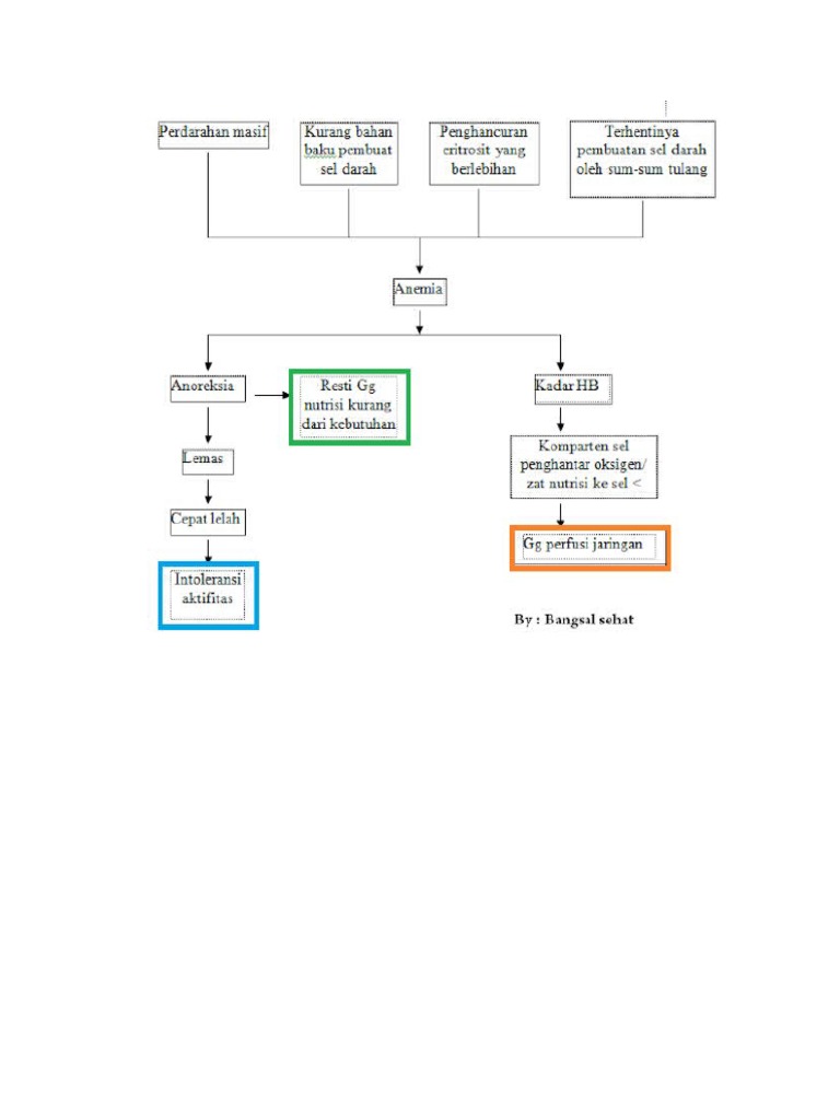 Woc Anemia Pdf