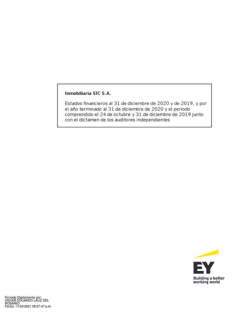 EEFFAuditados ISIC2020 | PDF | Auditoría | Depreciación