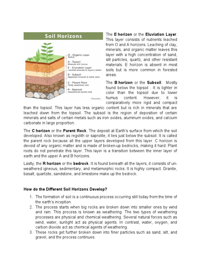 Soil Profile Diagram Worksheet